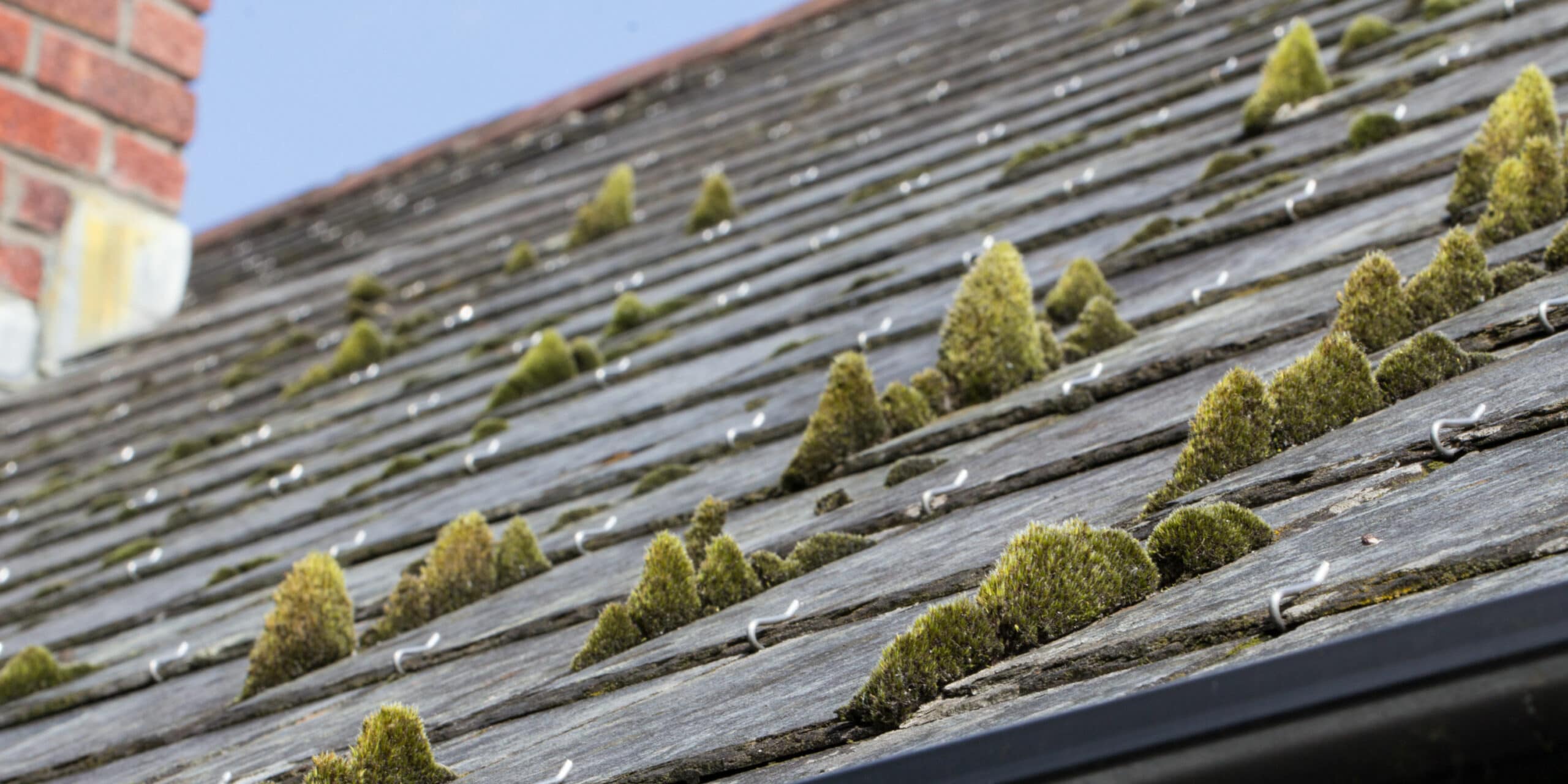 Dak ontmossen zonder hogedrukreiniger: werkwijze & prijzen
