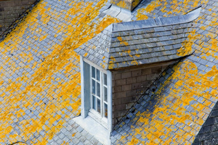 Dak ontmossen zonder hogedrukreiniger: werkwijze & prijzen